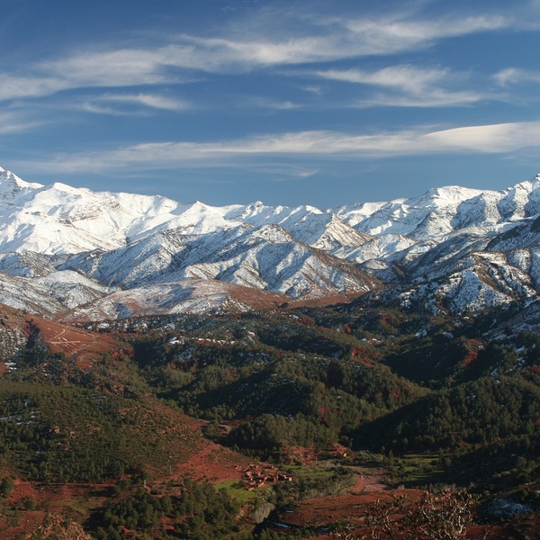 Agence locale au Maroc : contactez Momo | Evaneos