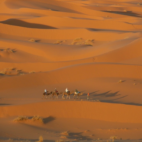 Agence locale au Maroc : contactez Momo | Evaneos