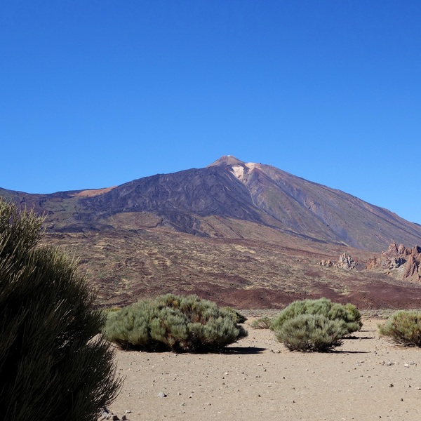 Agence locale aux Iles Canaries : contactez Marcos | Evaneos