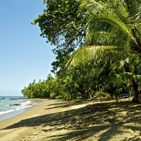 Agence locale au Costa Rica : contactez Vincent | Evaneos