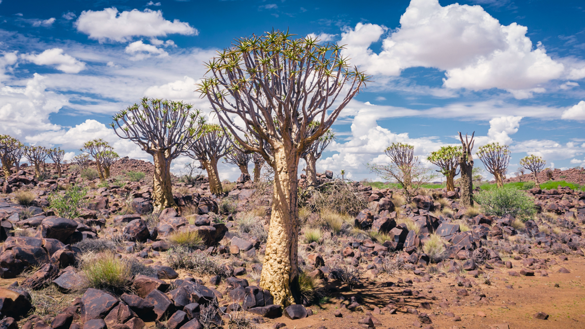 Entornos naturales únicos por descubrir | Evaneos