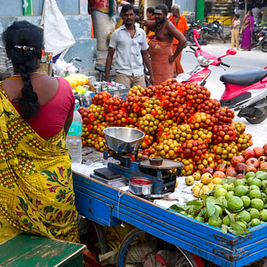 Indien Reisen Individuell - Urlaub Indien buchen | Evaneos