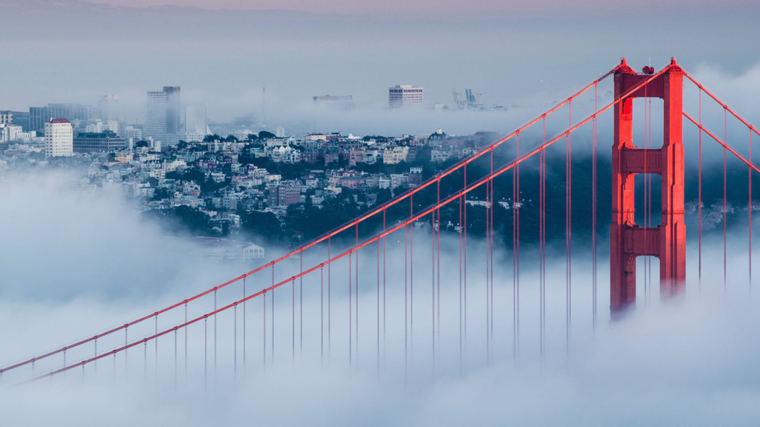 Californie, le match Los Angeles vs San Francisco | Evaneos