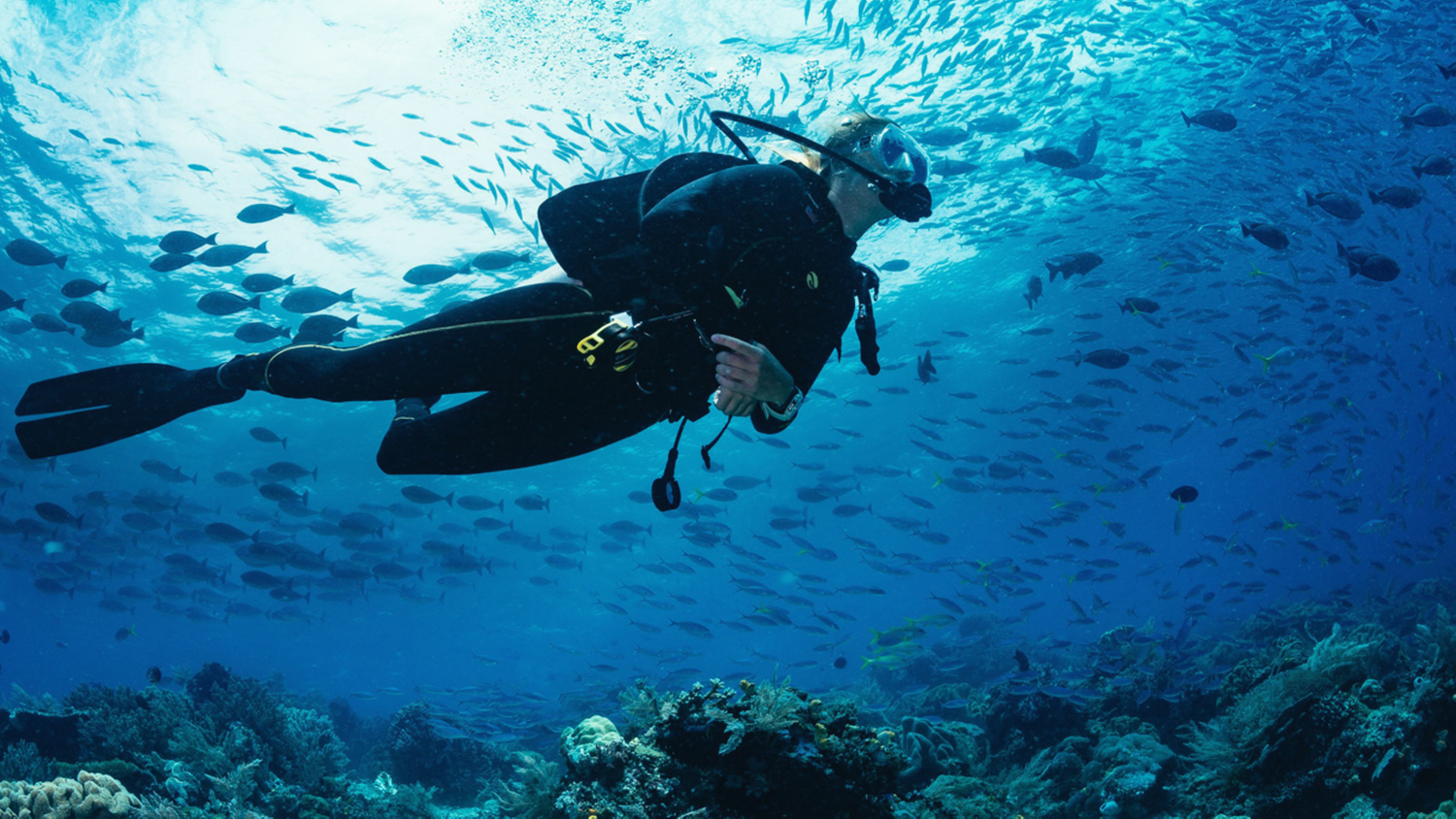 Les meilleurs sites de plongée en Asie | Evaneos