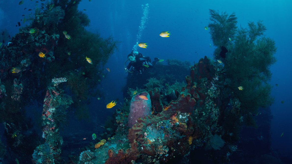 Les meilleurs sites de plongée en Asie | Evaneos