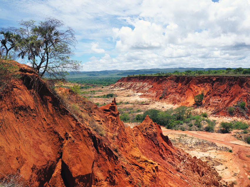 Les 10 plus beaux espaces naturels à voir à Madagascar | Evaneos