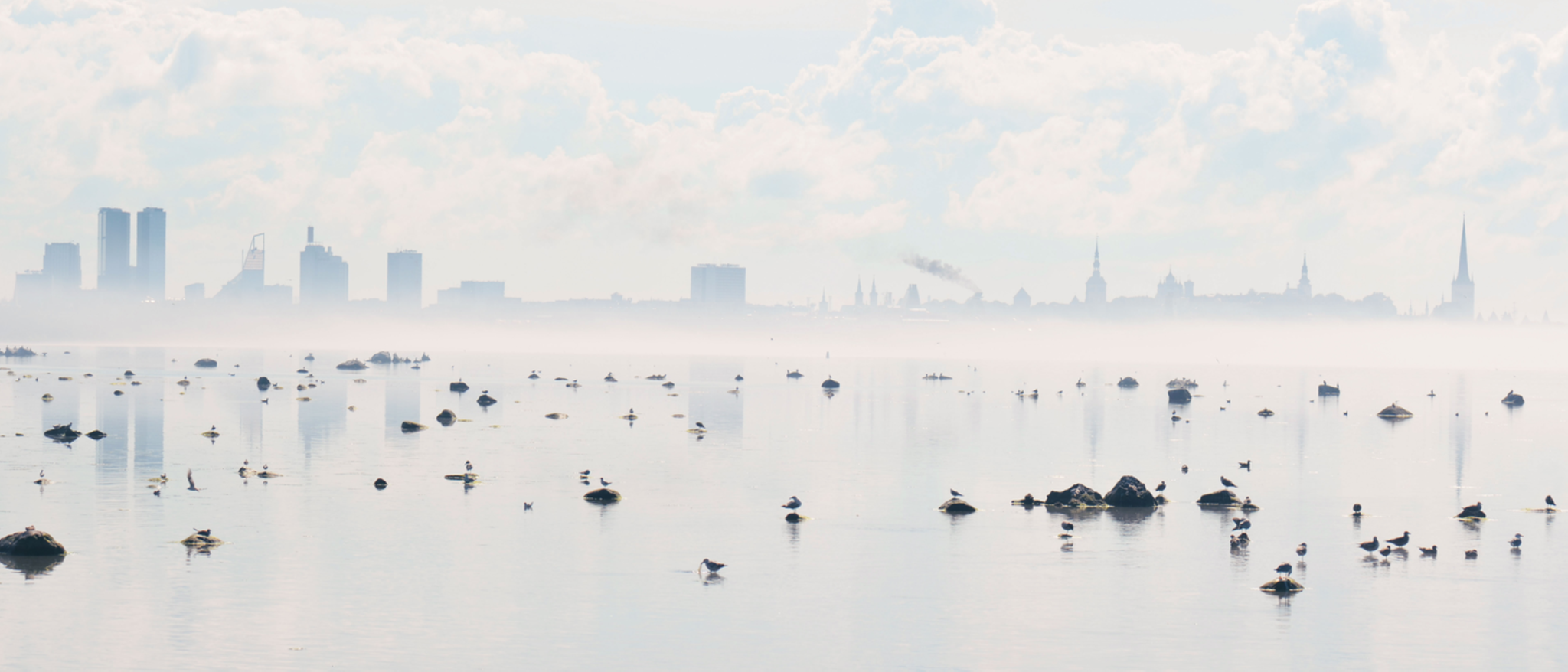 Paesi baltici: quale capitale scegliere? | Evaneos
