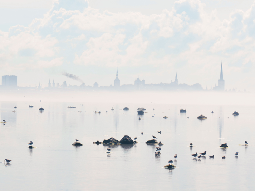 Paesi baltici: quale capitale scegliere? | Evaneos