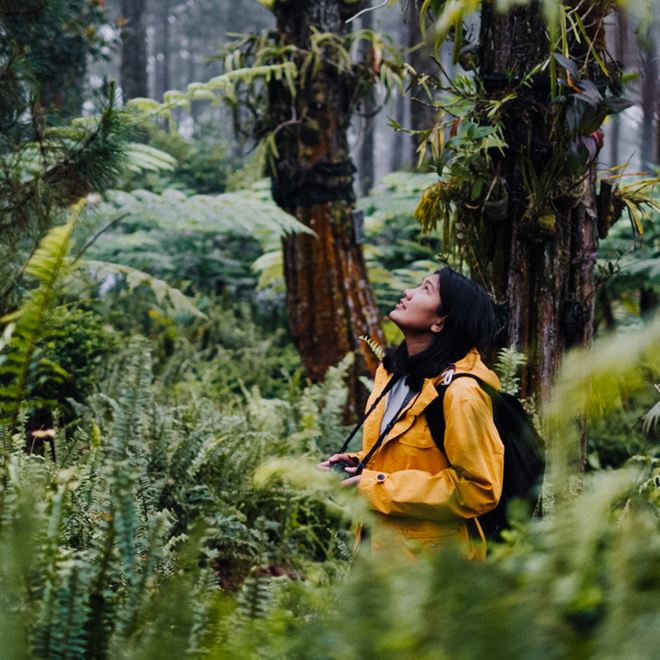 Actus Evaneos | Evaneos