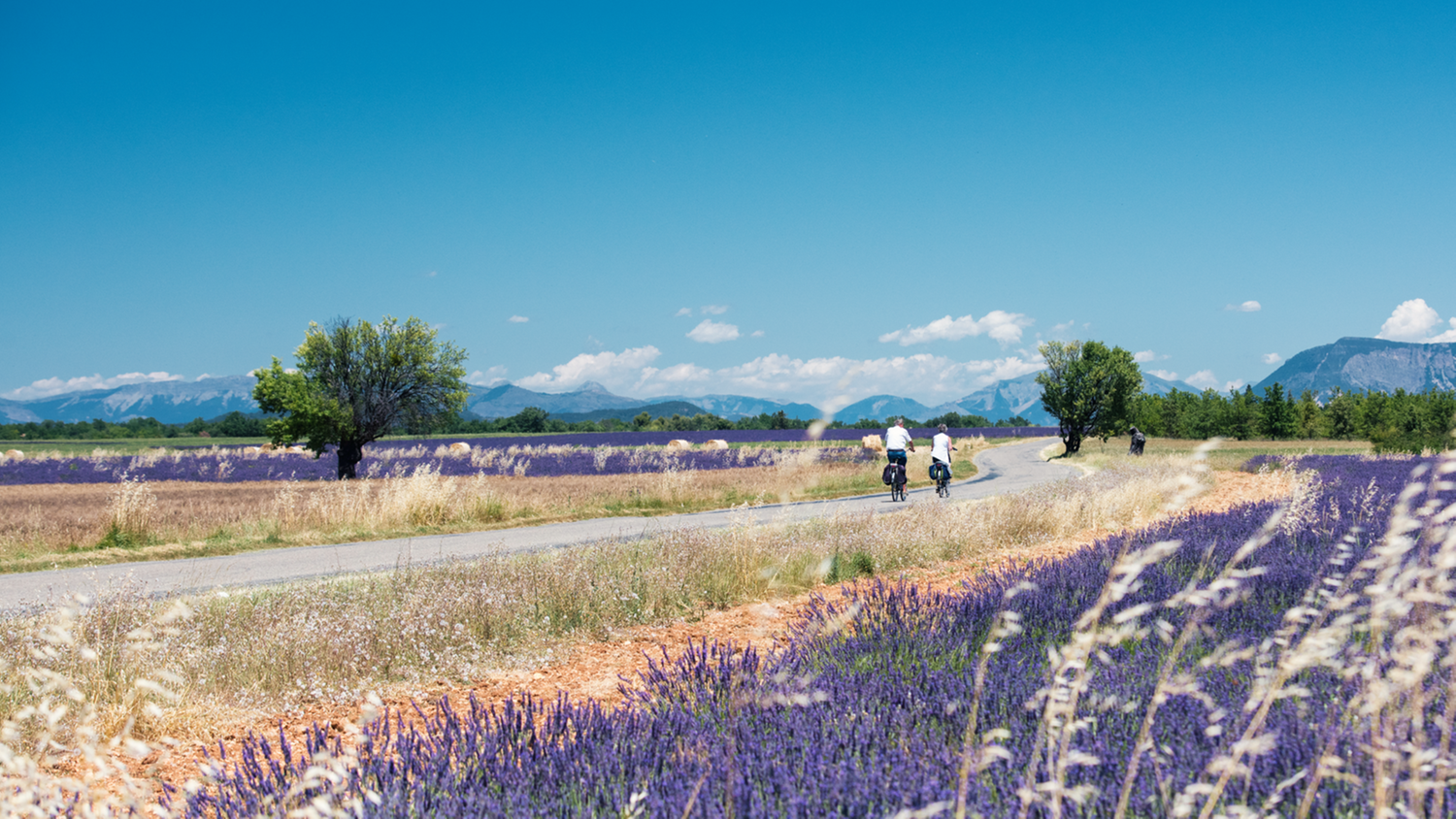 Cyclotourisme : 5 circuits accessibles pour explorer la France à vélo ...