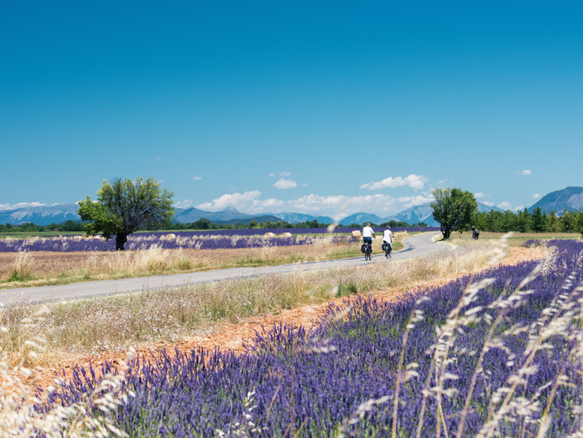 Cyclotourisme : 5 circuits accessibles pour explorer la France à vélo ...