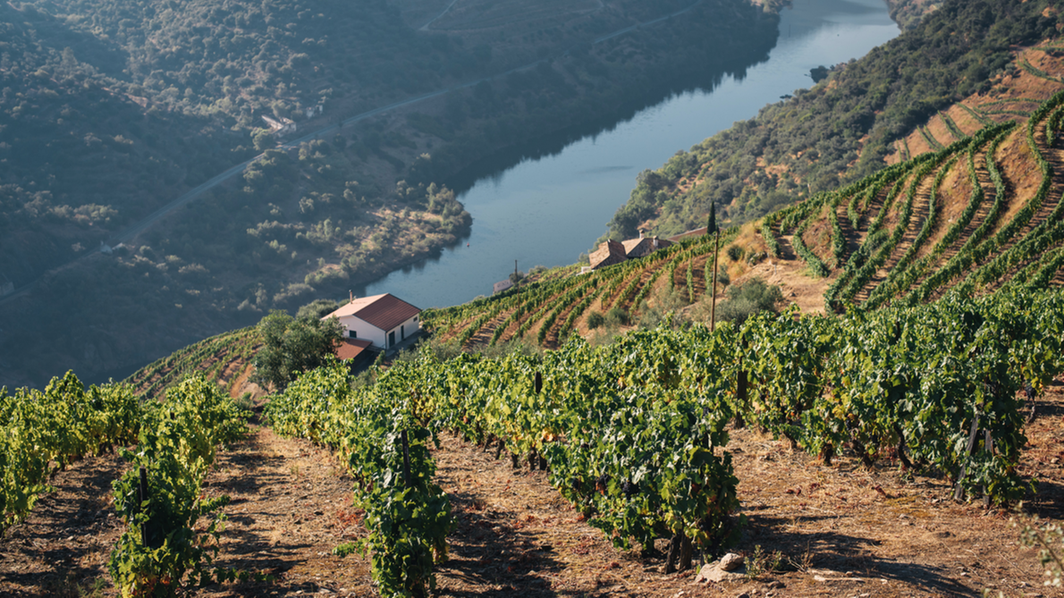 I vigneti europei da non lasciarsi sfuggire | Evaneos