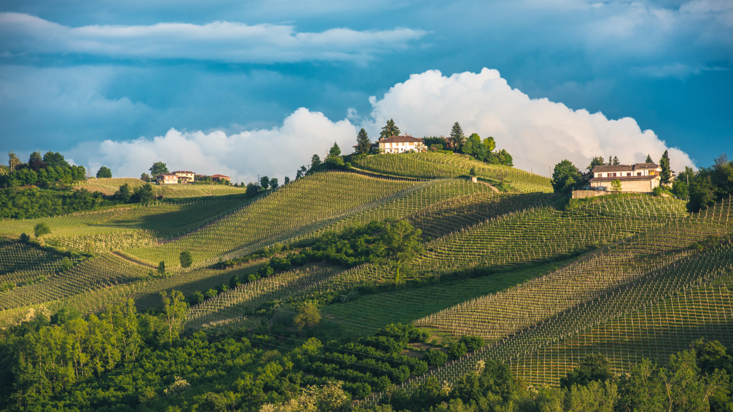 I vigneti europei da non lasciarsi sfuggire | Evaneos