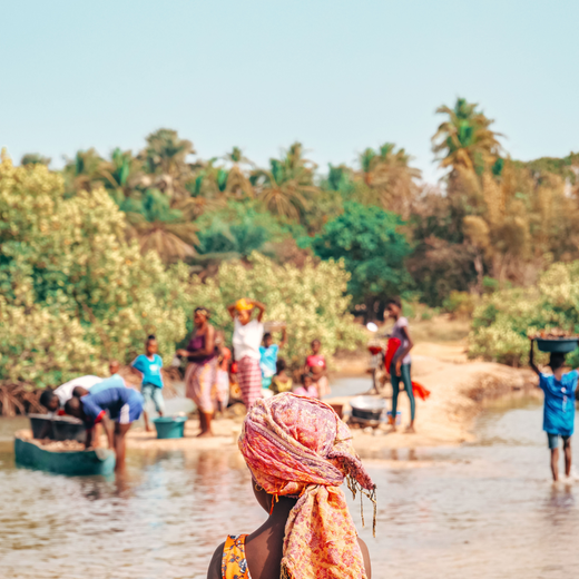 Voyage au Sénégal - Vacances au Sénégal sur mesure | Evaneos