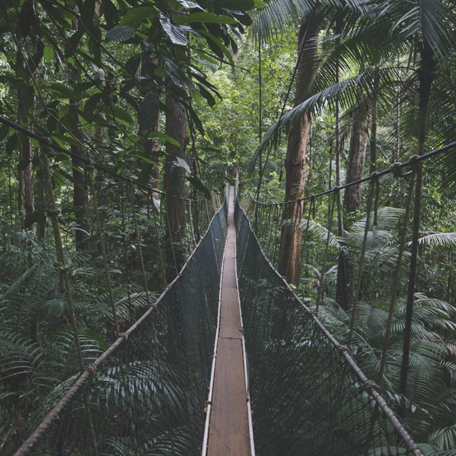 Les 10 plus beaux espaces naturels à voir à Madagascar | Evaneos