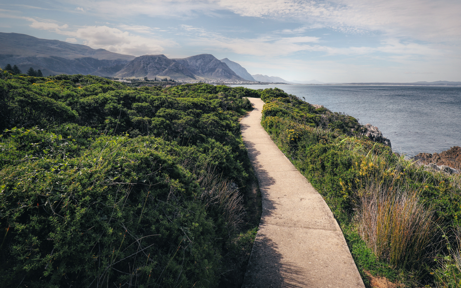 Wander through the region of Hermanus | Evaneos