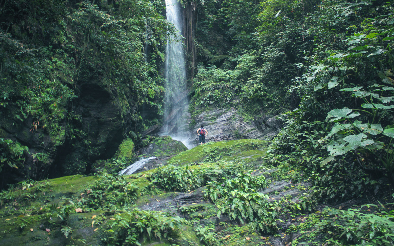 Randonner au cœur de la nature costaricaine | Evaneos