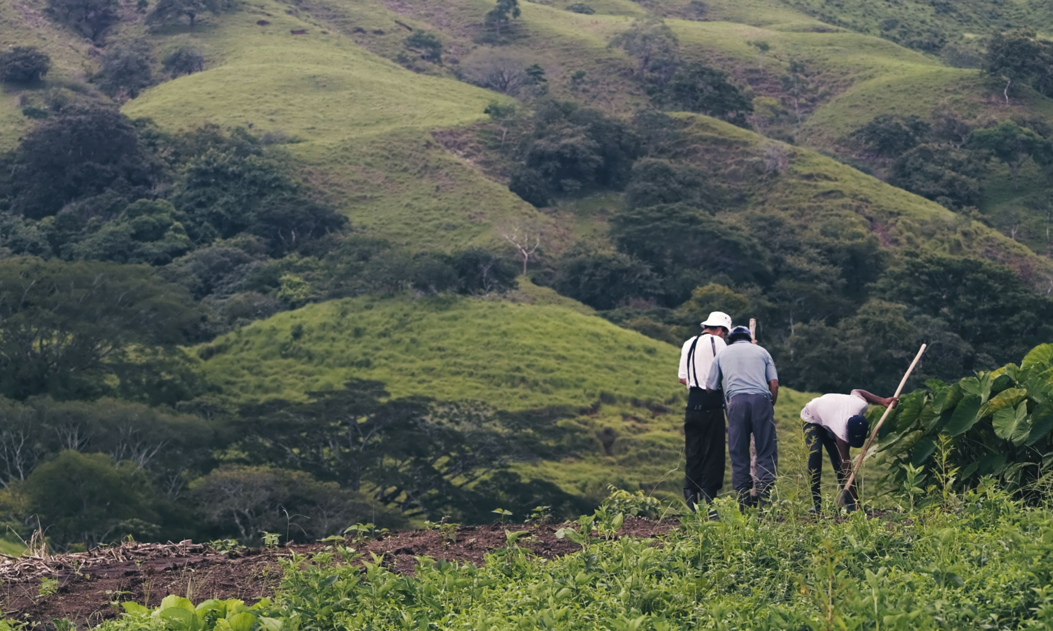 Learn about the daily lives of Costa Rica's farmers | Evaneos