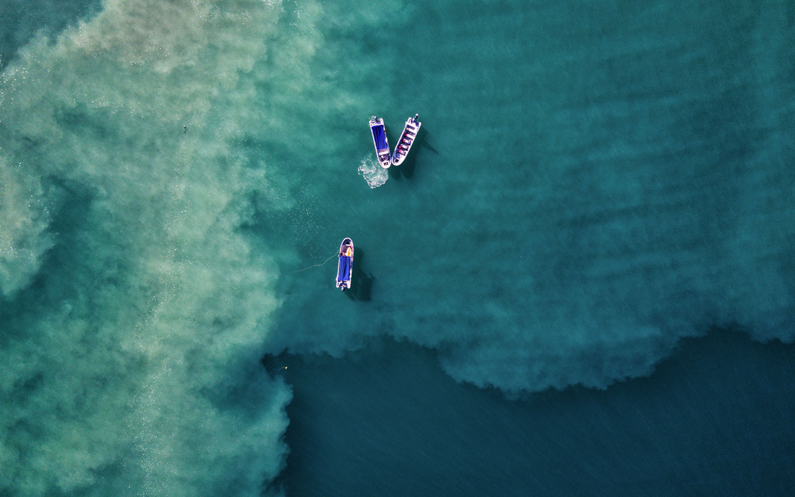 Discover Costa Rica's marine life | Evaneos