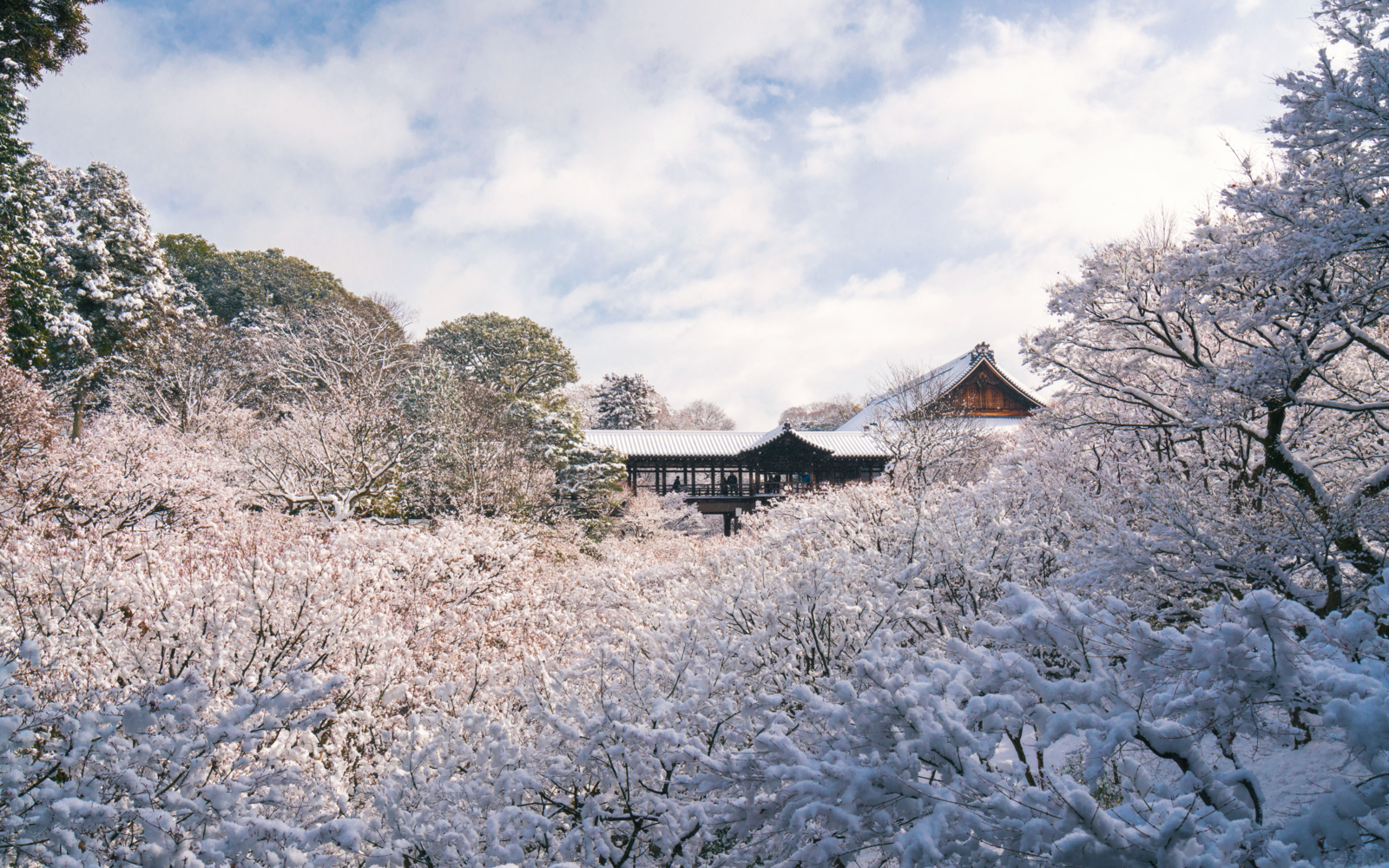 Japan im Winter erleben | Evaneos