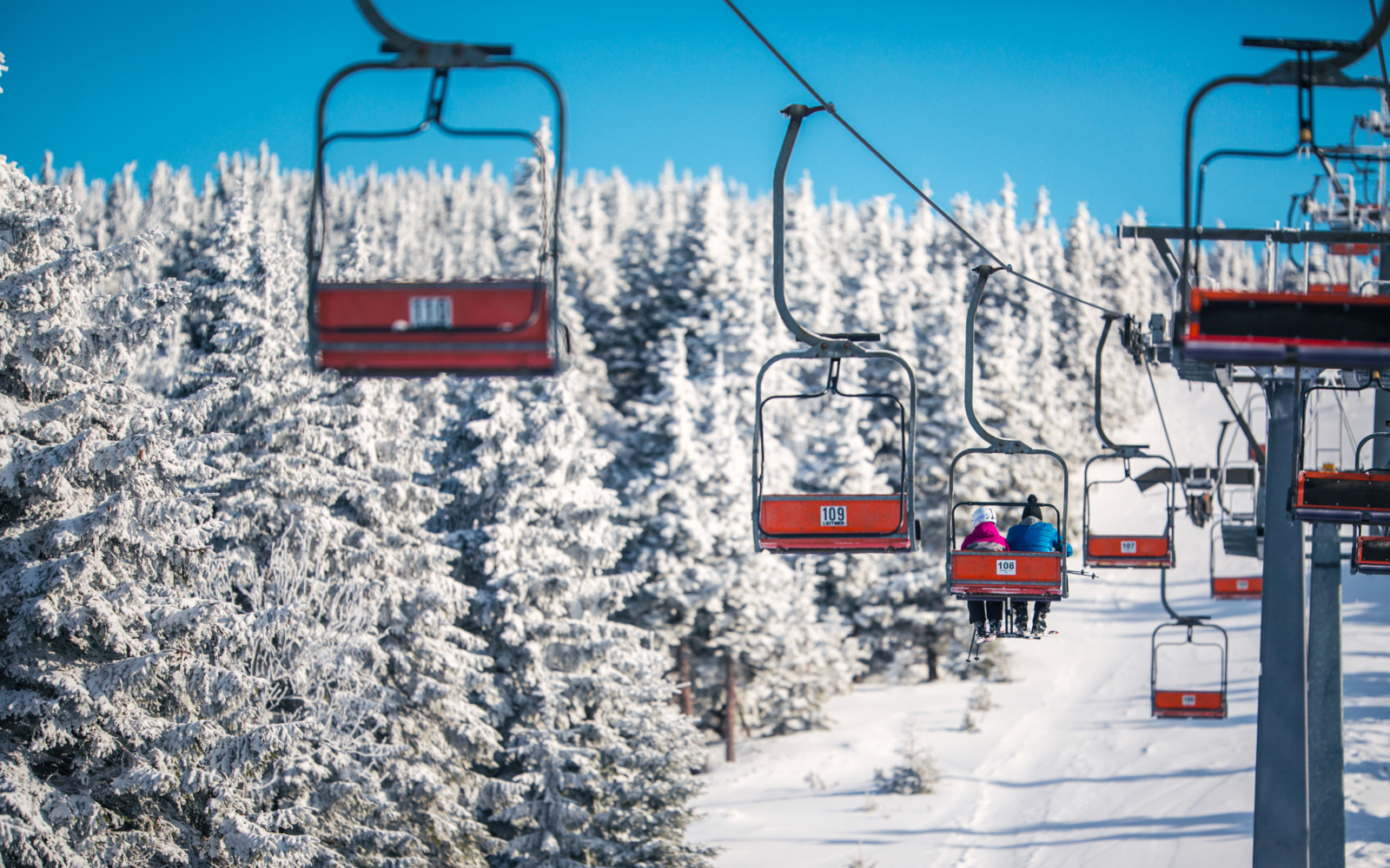 Ski down the Japanese slopes | Evaneos