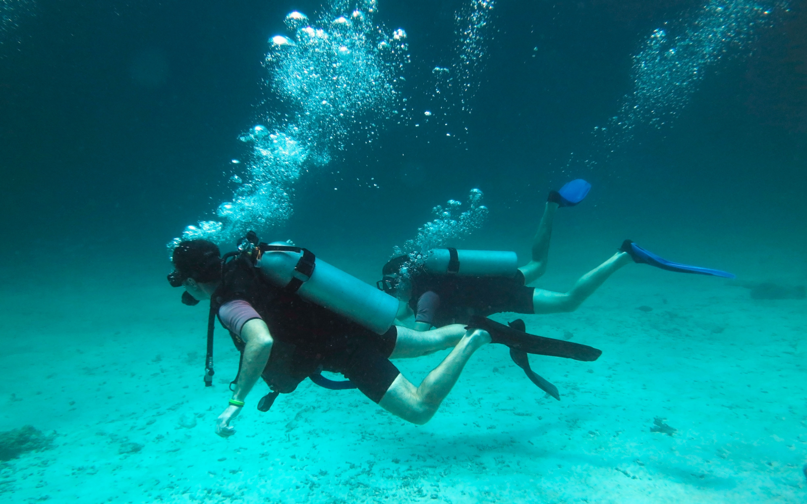 Immergersi alla scoperta dei fondali marini vietnamiti | Evaneos