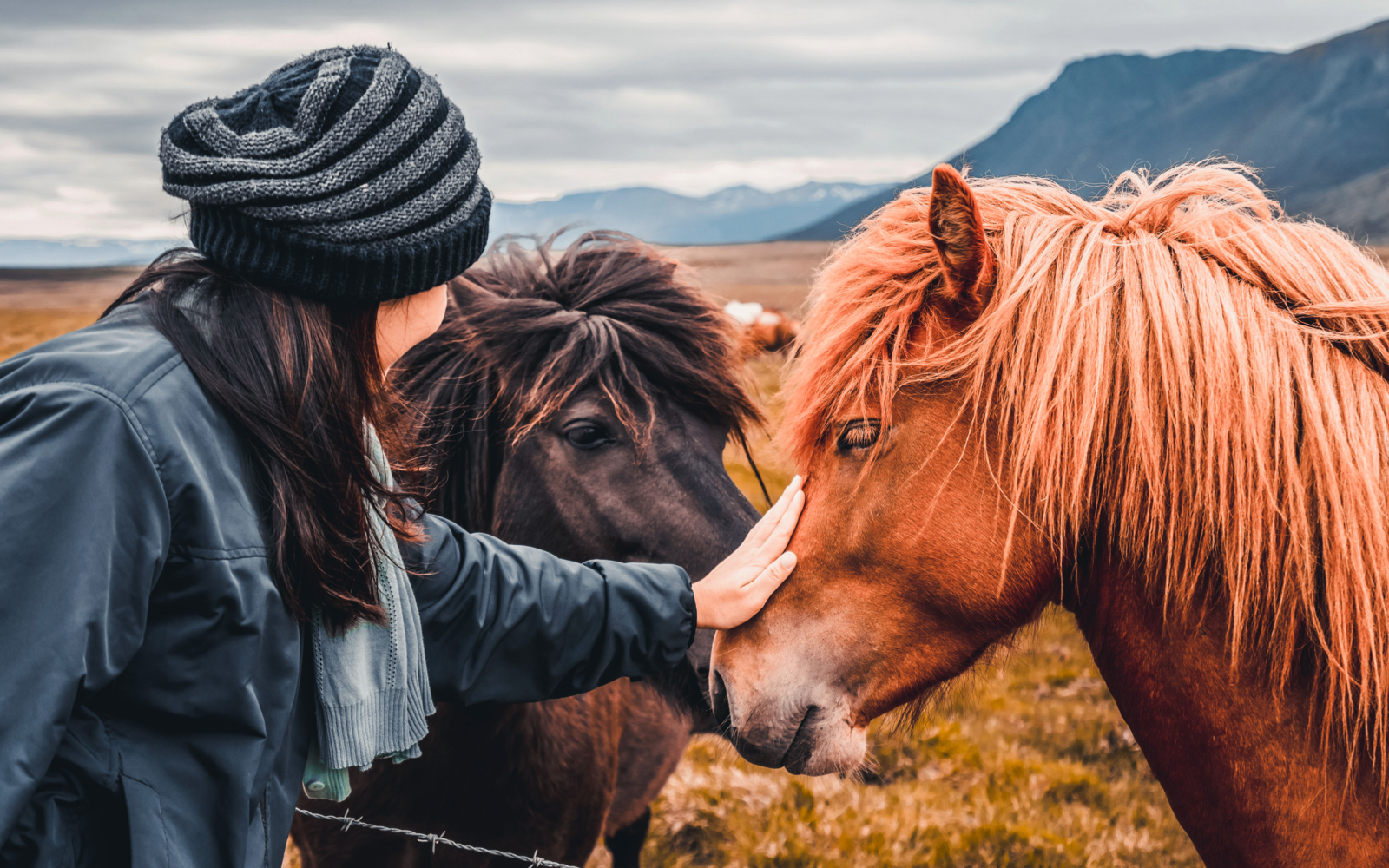 Découvrir l'Islande à cheval | Evaneos