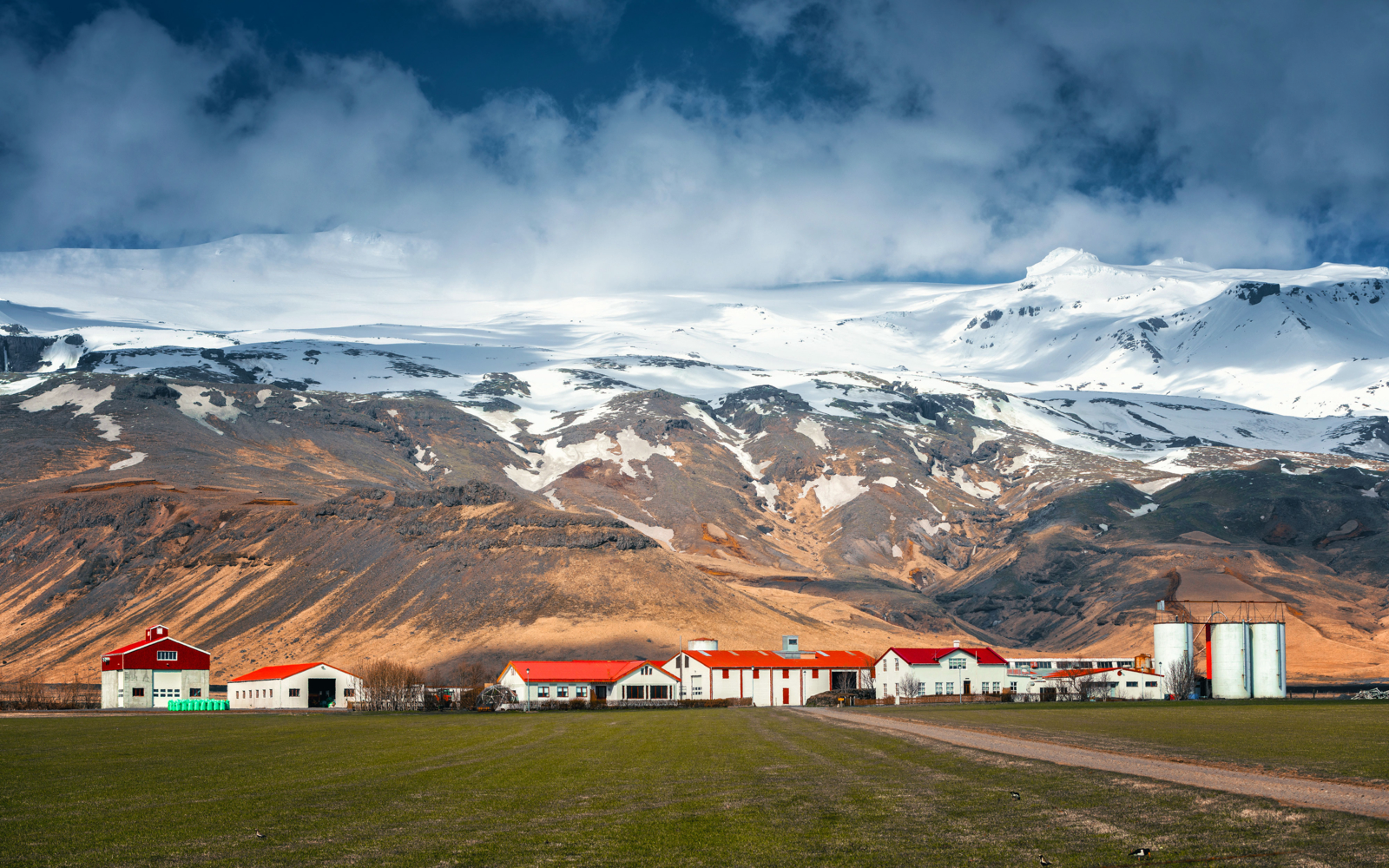 Visit charming Icelandic farms | Evaneos