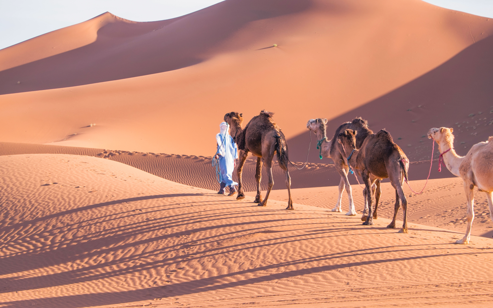 Dive into Erg Chigaga’s vast dunes | Evaneos