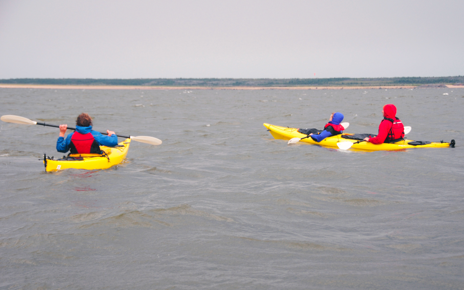 Observer la faune sauvage de la région du Manitoba | Evaneos