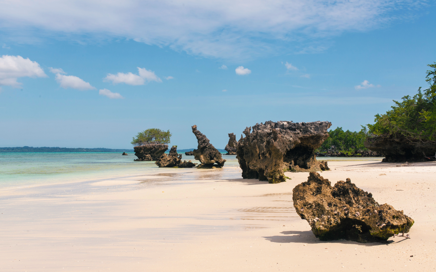 Traumhafte Entspannung an den schönsten Stränden von Tansania | Evaneos