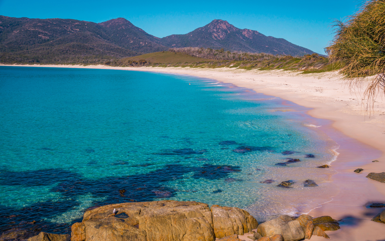 S'émerveiller des paysages sauvages de la Tasmanie | Evaneos