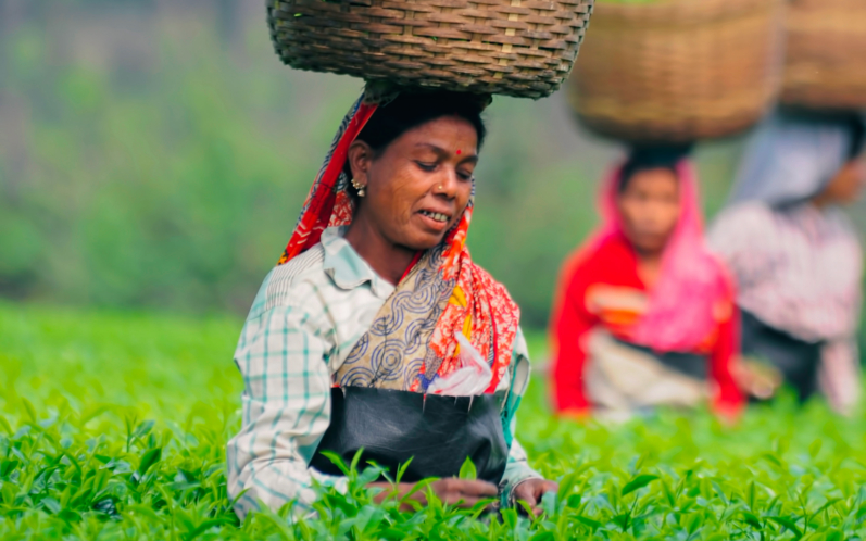 Conocer a las poblaciones étnicas de la India | Evaneos