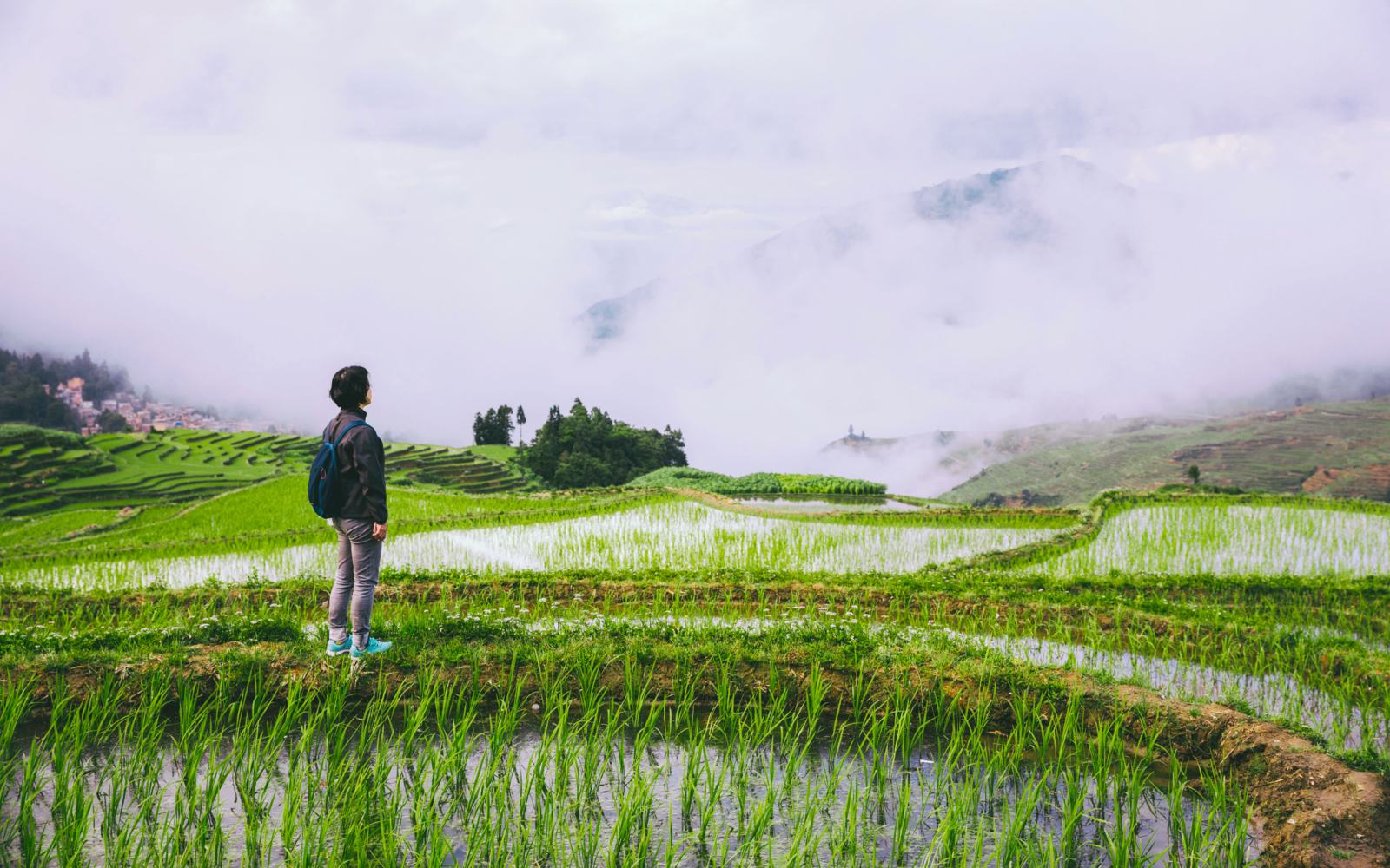 Arpenter les sentiers de randonnée chinois entre rizières et montagnes ...