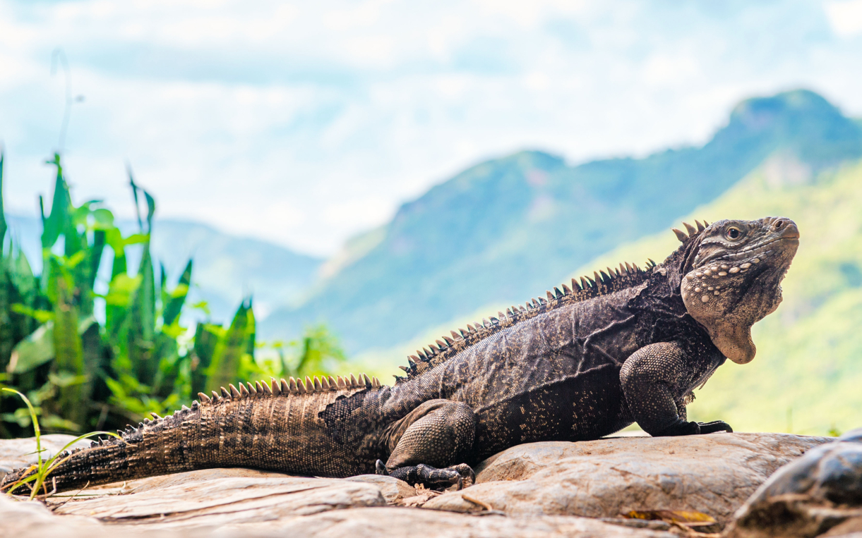 Découvrir Cuba grandeur nature à travers ses parcs nationaux | Evaneos
