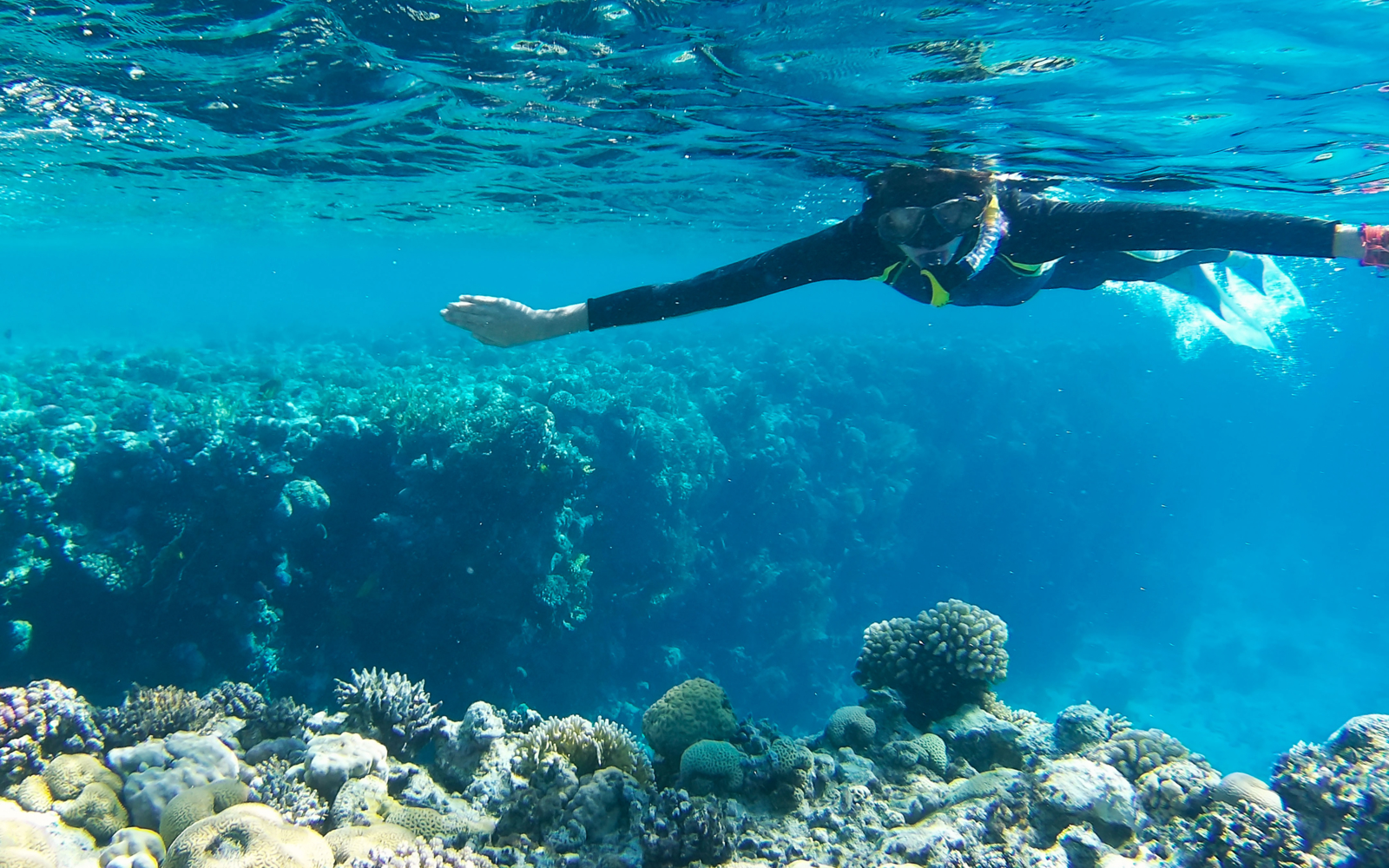 Contemplare la bellezza dei fondali marini cubani | Evaneos
